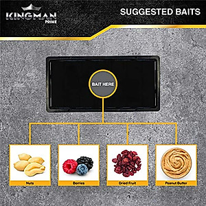 Kingman Prime Rat Mouse Rodent Pest Glue Trap (Large Size) Tray Heavy Duty (5 Pack/ 10Traps) with Connectors