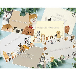 48 Dog Thank You Card Set, Dog Pun Note Cards Pack with Envelopes, Puppy Greeting Notecards Bulk, Cute Boxed Assortment Quip Cards for Gratitude, Recognition, Appreciation, 4 x 6 in