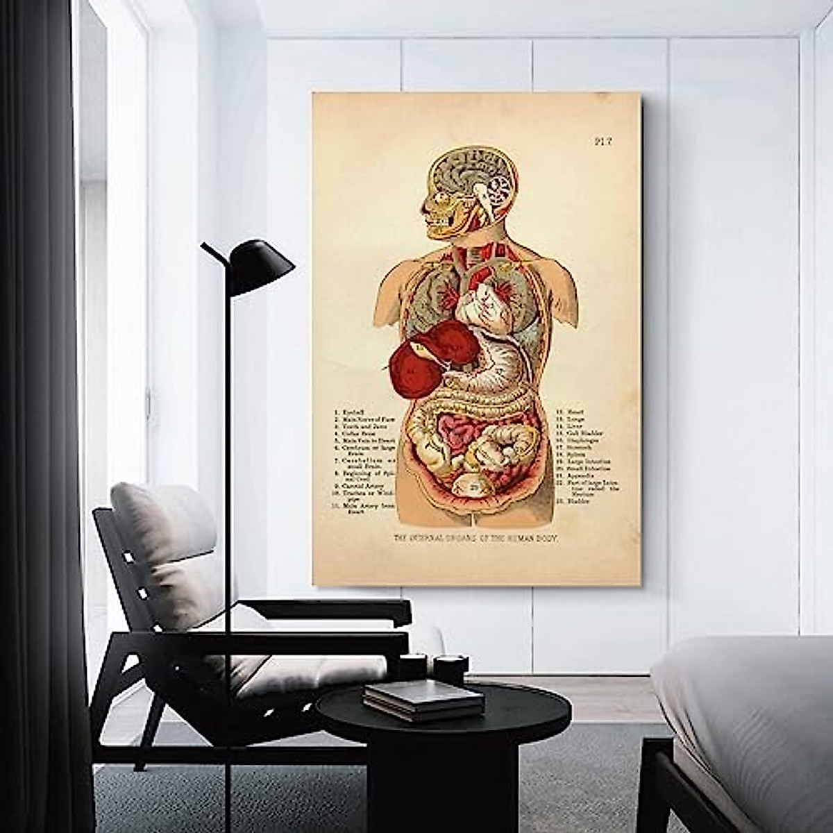 Internal Organs Of The Human Body From The Household Physician Canvas Wall Art Print Poster For Home School Office Decor Unframe 12x18inch(30x45cm)