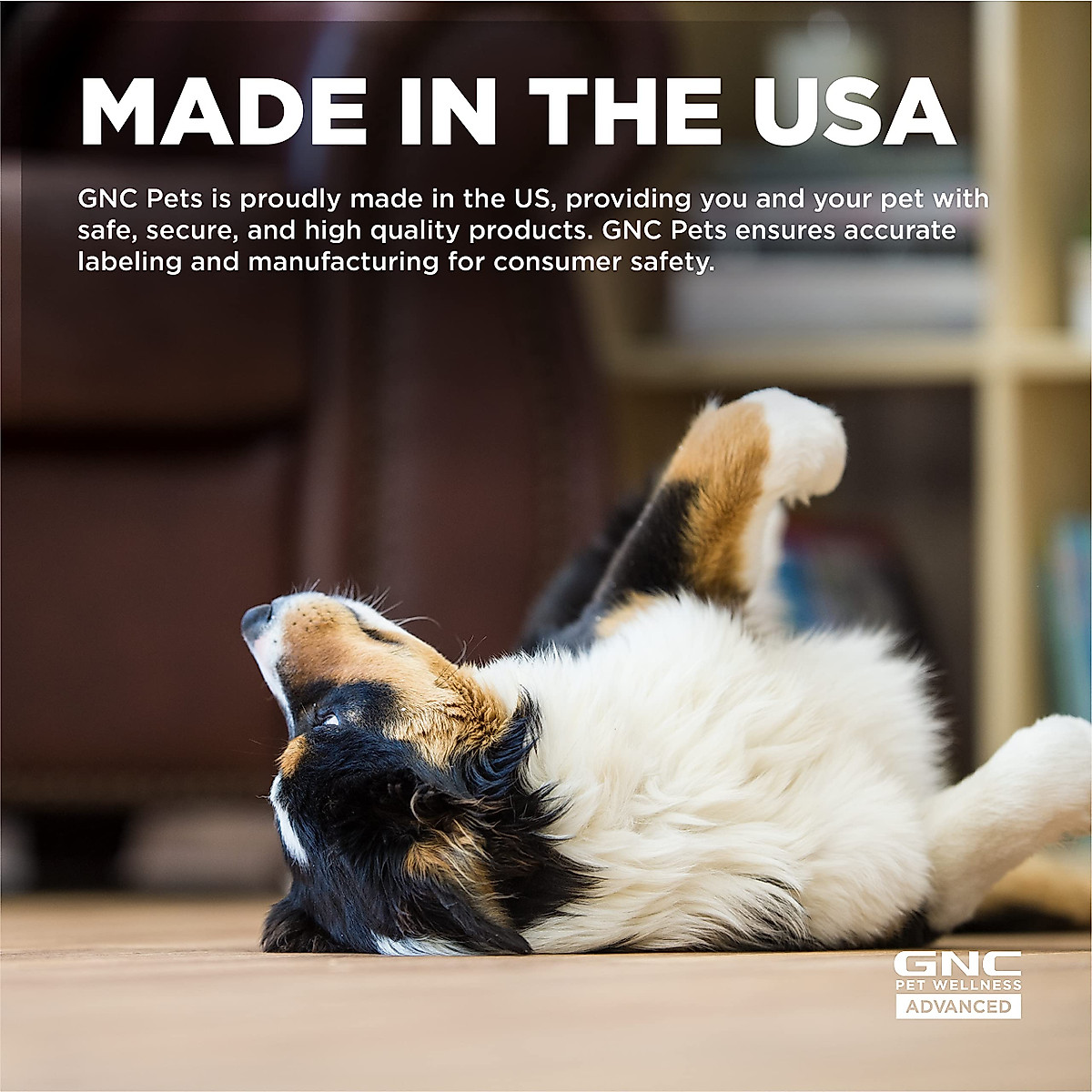 GNC Pets Advanced Hydrocortisone Spray for Dogs, 4oz | Hydrocortisone Dog Spray for Hot Spots, Flea and Insect Bites, Irritated Dry Skin, Allergies, and More, Natural, (FF14832)