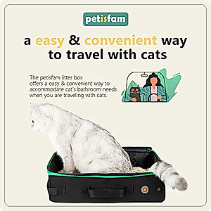 Portable Cat Travel Litter Box with Zipped Lid, No Leakage, No Smell, Easy to Carry, Easy to Use in Hotels, Car