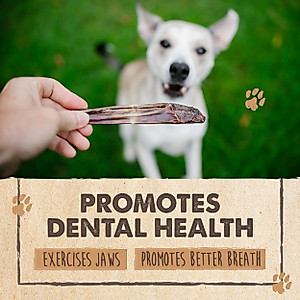 Mighty Paw - Beef Gullet Sticks for Dogs (6 Inch - 30 Pack) | Premium Beef Esophagus Dog Treats. Gullet Sticks, Ideal for Large and Small Dogs Teething and Light Chewing. Rawhide Free, Bulk Dog Chews