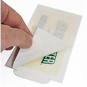 Catchmaster Spider & Insect Glue Trap - 4 Professional Strength Traps per Package