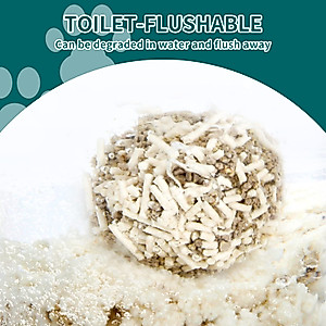 Meowgic Paws Plant-Based Cat Litter, Odor Control Quick Clumping Tofu Cat Litter, 6 lbs, Low Tracking Dust Control Lightweight Flushable Unscented Natural Kitty Litter