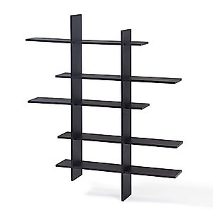 Danya B. Five Level Black Asymmetric Wall Shelf