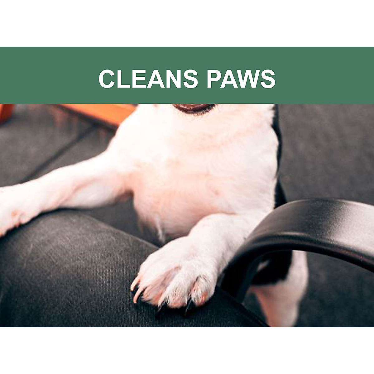 Mr. Peanut's Naturals 100% Plant Based, Unscented Pet Wipes, 160 Count, Larger 8x6" Size