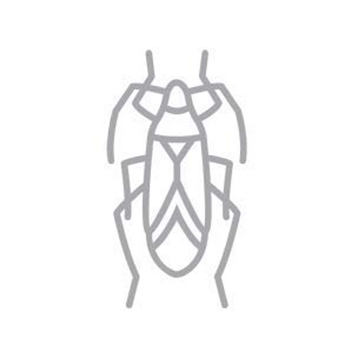 BUGGSLAYER Insecticide Concentrate 16-oz