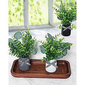 Nefelibata Farmhouse Mini Mason Jar Decor for Tiered Tray with Artificial Eucalyptus Leaves Small Floral Arrangement Rustic Faux Plants for Home Kitchen Office Desk Black White Small Greenery Set of 3