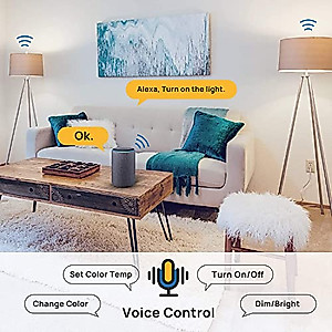 Linkind Smart Light Bulbs, Smart Bulb That Work with Alexa & Google Home, LED Light Bulbs Color Changing, A19 E26 WiFi Light Bulb Dimmable (Retro)