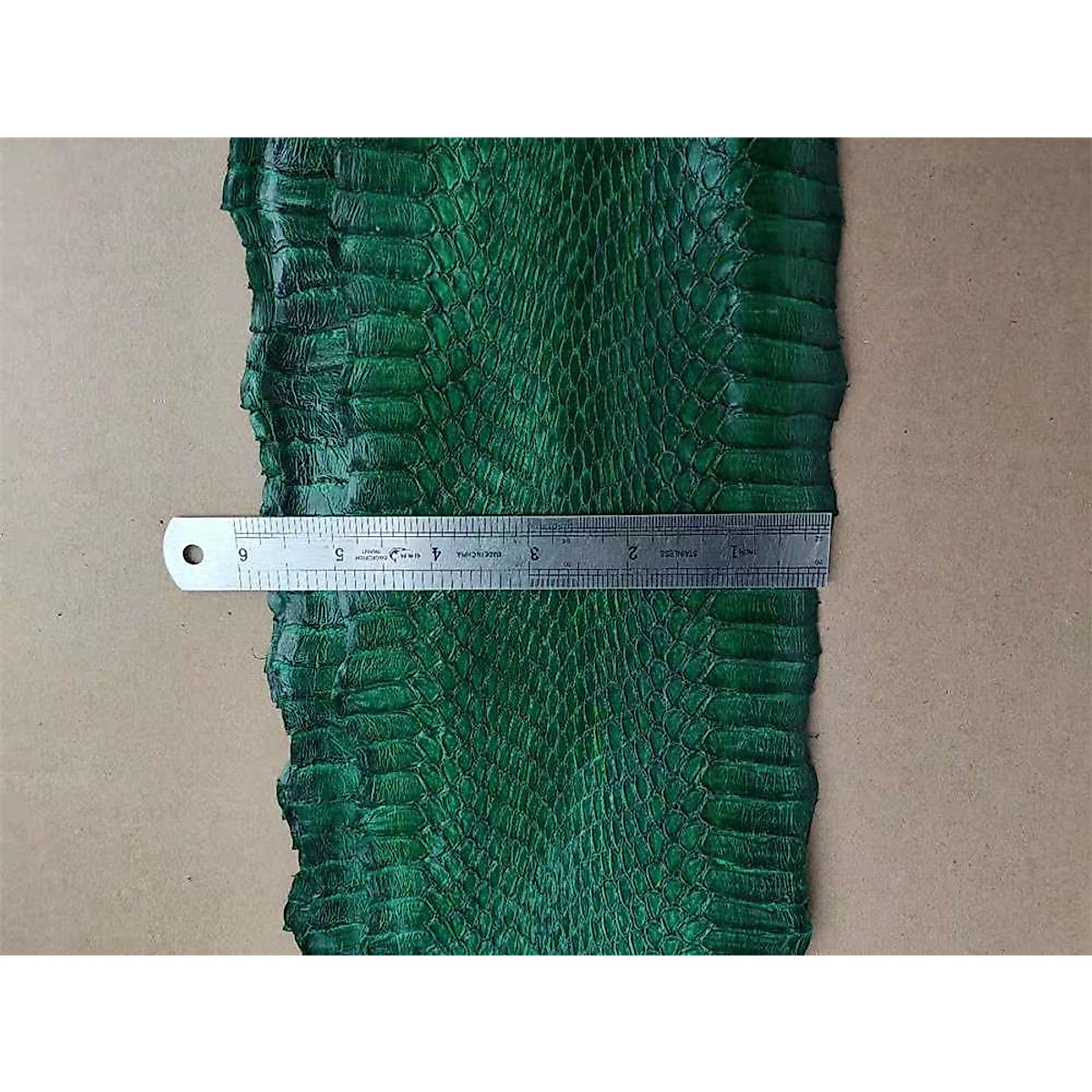 Snake Skin Snakeskin Pieces Assorted Colors Hide Leather Natural 47in (Green)