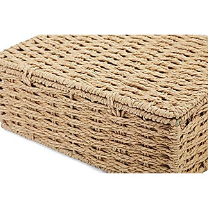 Arpan Natural Paper Rope Storage Basket Box With Lid (Small)
