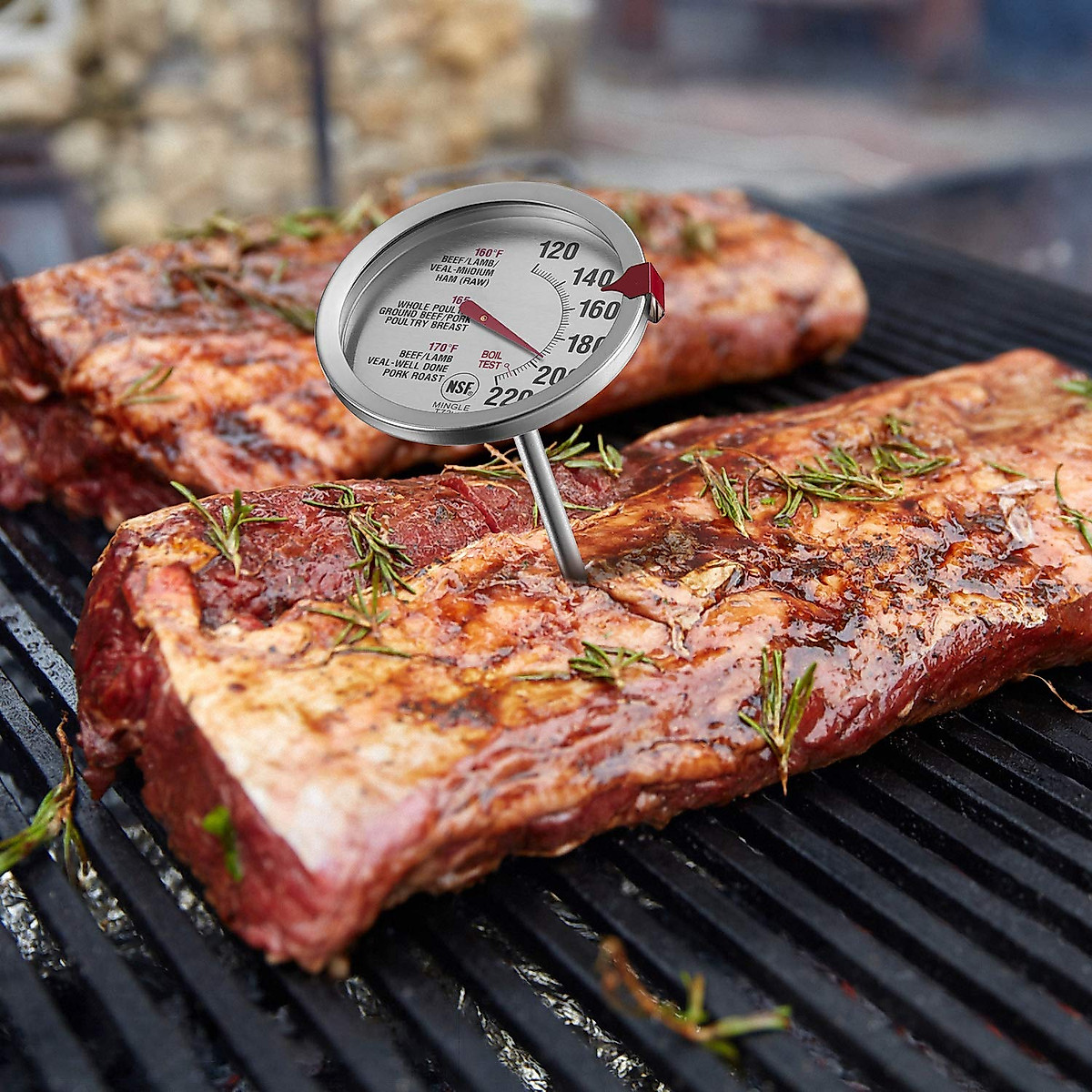 ANNSEA SINARDO Meat Thermometer for Oven T731, BBQ Thermometer, Oven Safe, Large 2.5-Inch Easy-Read Face, Stainless Steel Stem and Housing