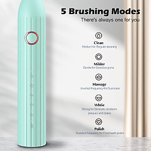 BeastRose Ultrasonic Electric Toothbrushes 5 Modes 5 Brush Heads USB Fast Charge Powered Toothbrush for Adults & Kids (Green)