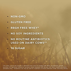 Solgar Whey To Go Whey Protein Powder, Vanilla - 33 oz - Grass-Fed Protein with L-Glutamine & BCAAs - rBGH Free, Gluten Free & Non-GMO - 36 Servings