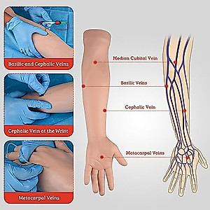 SimCoach Intravenous Practice Arm, Phlebotomy Practice Kit, IV Venipuncture Training Arm for Injection and Infusion, Medical EducationTraining Model