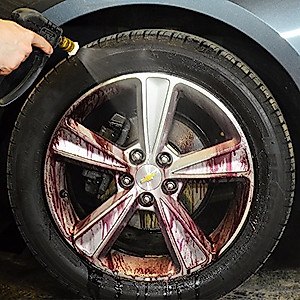 Detail King Chameleon Car Rim & Wheel Cleaner Spray for All Wheels (Aluminum, Chrome, and More) - Scrub-Less - pH Balanced - Acid Free - 32 oz