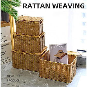 RT&BS Set of 3 Wicker Storage Basket with Lid, Handwoven Storage Basket Box - Organizer for Toys Books Fruits Stationery