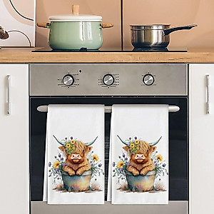 AnyDesign Highland Cow Kitchen Dish Towel 18 x 28 Inch Rustic Farmhouse Dishcloth Seasonal Cute Cow Decorative Hand Tea Towel for Kitchen Home Cooking Baking Cleaning, 2Pcs