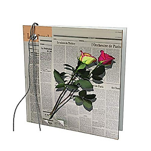 Gift Box 10"X10"X10" - Les Roses Collection - Easy to Assemble & Reusable - No Glue Required - Ribbon, Tissue Paper, and Gift Tag Included - EZ Gift Box by Endless Art US