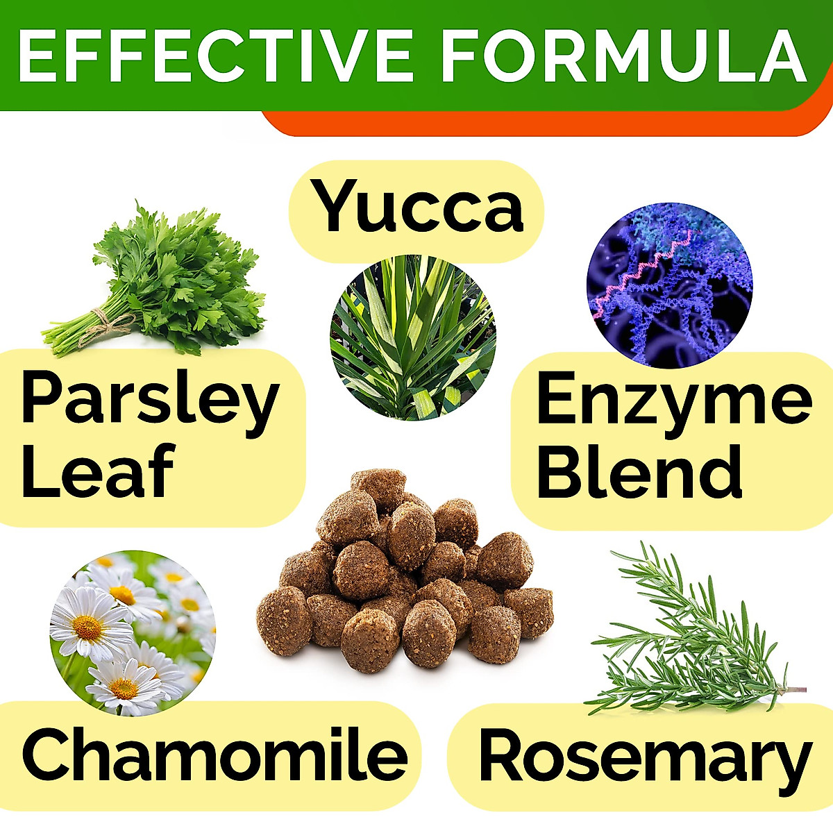 STRELLALAB No Poo Treats for Dogs - Coprophagia Stool Eating Deterrent - No Poop Eating for Dogs - Digestive Enzymes - Gut Health & Immune Support - Stop Eating Poop - Bacon Flavor 240 Chews