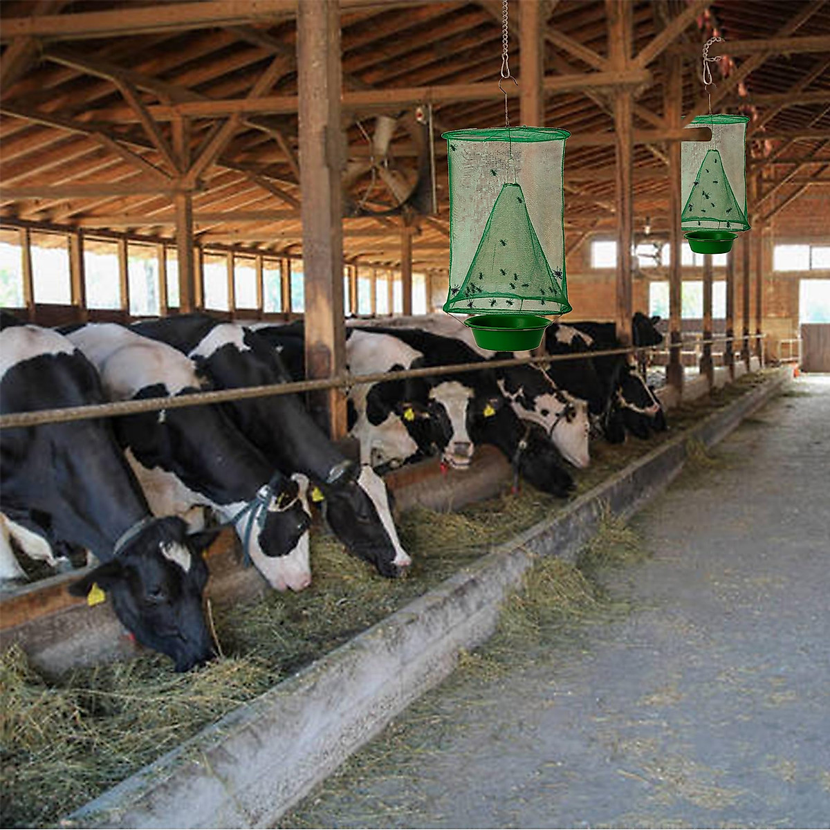 Ranch Fly Trap (4 Pack) with Adjustable Hanging Wire (2pcs) and Bait Tray | Indoor or Outdoor Fly Traps Hanging Cages for Farms, Park or Restaurants