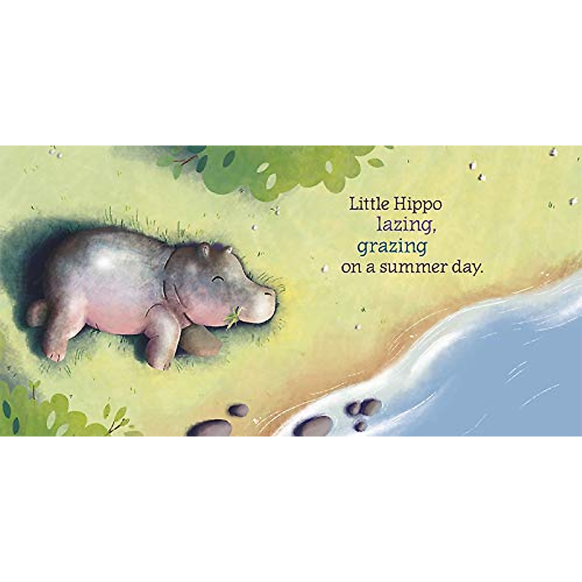 Little Hippo (Little Animal Friends)