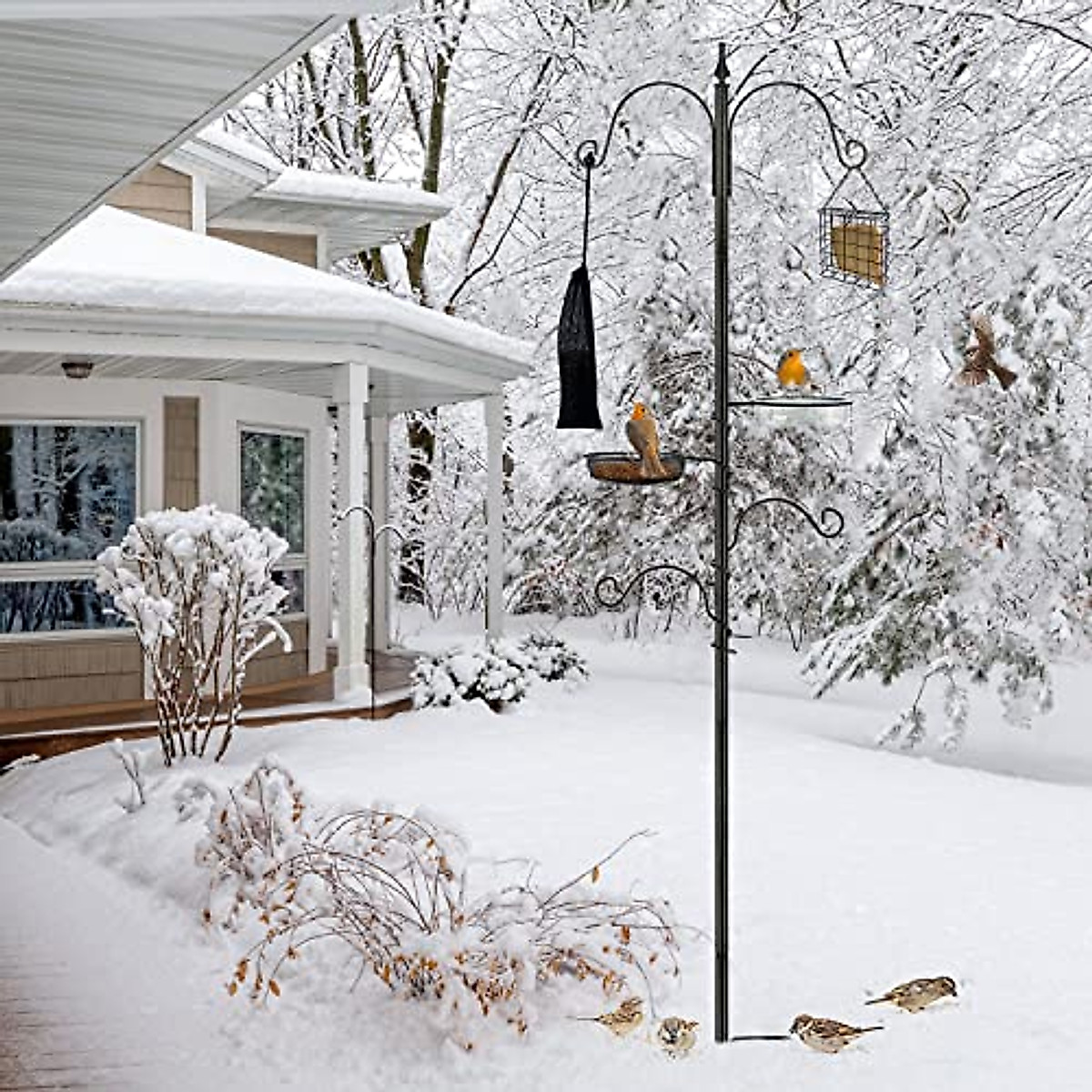 Bird Feeders Bird Feeding Station Bird Feeder Poles,Premium Multi Feeder Hanging Kit with Suet Cage and Bird Bath,Bird Food Finch Sock for Attracting Wild Birds