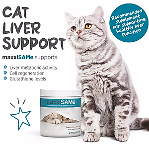 maxxipaws maxxiSAMe Advanced SAM-e Powder Supplement - Liver, Cognitive & Joint Support for Cats, 3.2oz