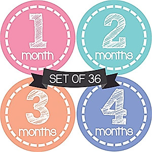 Baby Monthly Stickers Girl Milestone Month - Newborn Infant Shower Gift Keepsake (Set of 36)