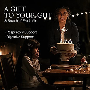 SOLARAY Marshmallow Root, Healthy Respiratory Function & Digestion Support, Non-GMO & Vegan | 100 VegCaps