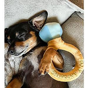 Fuzzyard Valentine's Day Dog Toy, Squeaky and Crinkle for Small, Medium and Large Breed Dogs (Diamond Ring)