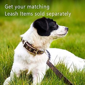 Thankspaw Leather Dog Collar Soft & Durable Strong Waterproof Collars Adjustable for Small Medium Large Dogs Brown M