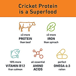 Jiminy's Cricket Treats - Chewy Hypoallergenic Dog Treats, 100% Made in The USA , Cricket Dog Treats, Gluten-Free, Sustainable, All Natural Dog Treats, High Protein - Pumpkin & Carrot, 6oz Bag