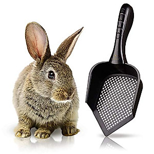 SunGrow Rabbits & Ferret Poop Scoop, Mealworm Sifter, Deep Plastic Shovel, Pointed Edge for Reaching Corners, for Cat Clumping Litter