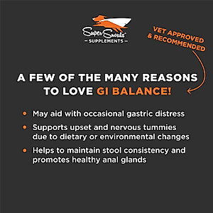 Super Snouts GI Balance Digestive Supplement for Dogs & Cats, 3.1 oz Pumpkin Powder for Dogs & Prebiotic Gut Health, Immune Support