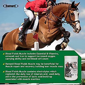 Ramard Blood Fluids Muscle Replenishment for Race Horses - Horse Supplements with Electrolytes, Blood Builder, & Muscle Builder, Powder Supplements for Horse Games High Performance, 2.3 lbs Jar