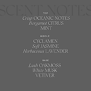 Antica Farmacista Home Ambiance Diffuser, Bergamot and Ocean Aria, 8.45 Fl Oz