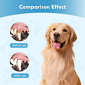 Dawmud Pet Toothbrush Pen, 2024 New Upgraded Toothbrush Pen Oral Repair Gel Strips for Teeth Whitening, Premium Dog Toothbrush Kit Dog Tartar Remover for Teeth (1Pcs)