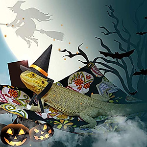 Rypet Bearded Dragon Halloween Costume - Lizard Wizard Hat with Scarf Halloween Costumes Set for Bearded Dragon Halloween Party