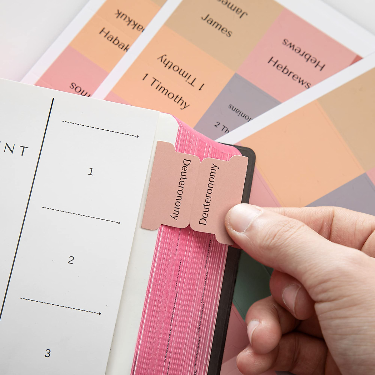 Laminated Bible Tabs - 80 Bible Tabs for Study Bible | New and Old Testament | Bible Tabs for Women
