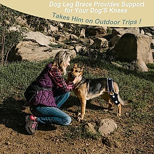 WENQUSEN Dog Leg Support - for Leg Wounds After Surgery for Ligament tears, with Support Strips to Protect The Dog's Leg Wounds. Breathable and Comfortable (L)