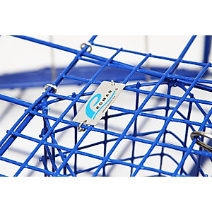 Promar Pacific Crabbing Kit, Blue, 30"