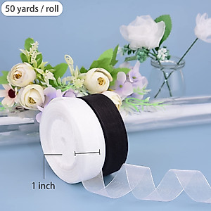 Hapeper 2 Rolls 1 Inch Sheer Organza Chiffon Ribbons for Gift Wrapping DIY Crafts Party Decoration, 50 Yards/ Roll (Light Purple, Light Blue)