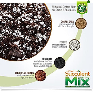 Organic Cactus & Succulent Mix - Made in USA with Premium Grade Ingredients - Coco Peat Humus • Perlite • Sand • Horticultural Charcoal to Filter Toxins and Improve Plant Growth