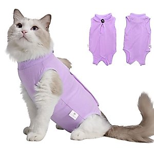 Acoutpet Cat Recovery Suit Female Kitten Cat Onesie for Cats After Surgery Female Spay Surgical Abdominal Wound Skin Diseases Cone Collar Soft Alternative Wear (Purple, S)