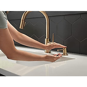 Delta Faucet RP100734CZ Trinsic Metal Soap Dispenser, Champagne Bronze