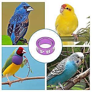 PFCKE Bird Foot Ring Bird Leg Ring Aluminum Dosed Bird Leg Ring Identification Pigeon Training Ring for Hibiscus Birds, Parrots, Peonies, Pigeons, Etc. Mixed Colors 50 Pieces Per Pack