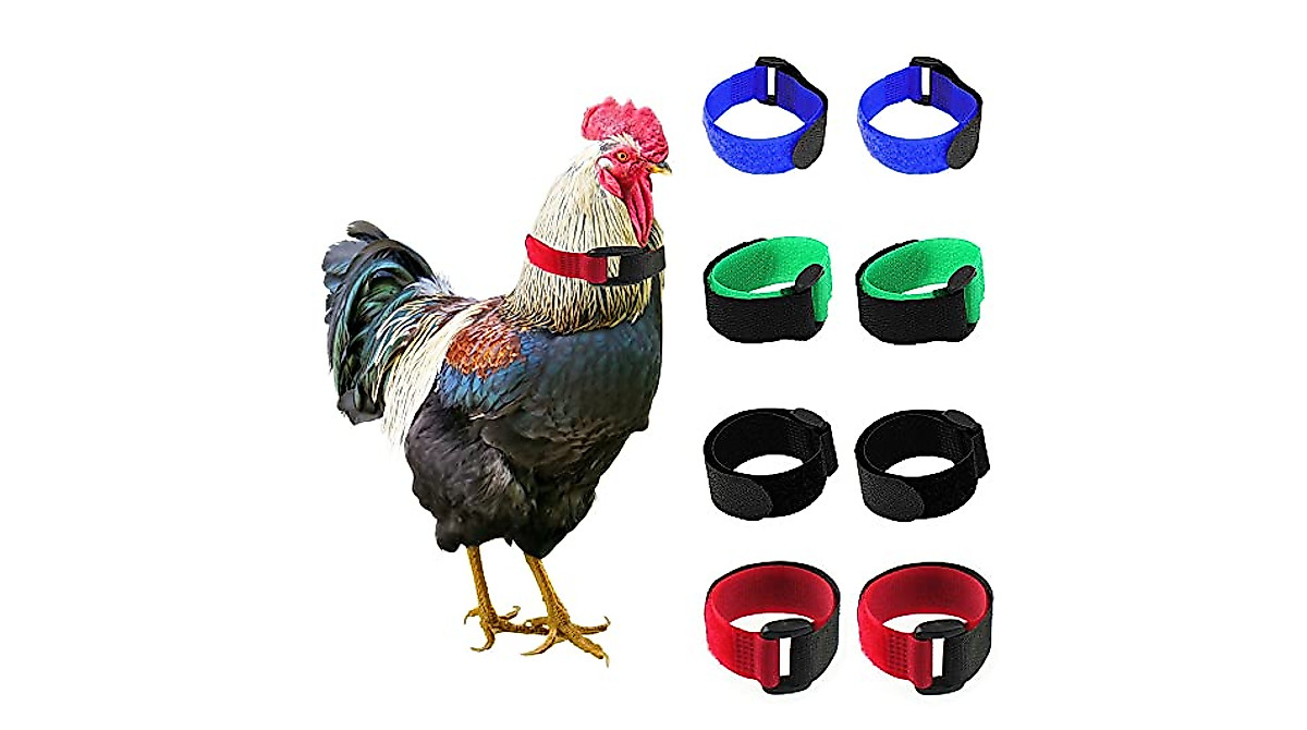 Tkocisa No Crow Rooster Collars - Quiet Your Roosters