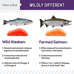 Chew + Heal Labs Dog Salmon Jerky Treats for Hip and Joint - 12 oz of Mobility Soft Dog Jerky Treats - Made with Alaskan Salmon, Turmeric, Glucosamine, Chondroitin, Green Lipped Mussel, and More