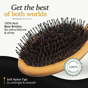 Belula Boar Bristle Hair Brush for Men Set.Styling Mens' Hair Brush with Nylon Pins. Boar Bristle Brush, 2 x Palm Brush, Wooden Comb & Travel Bag Included.